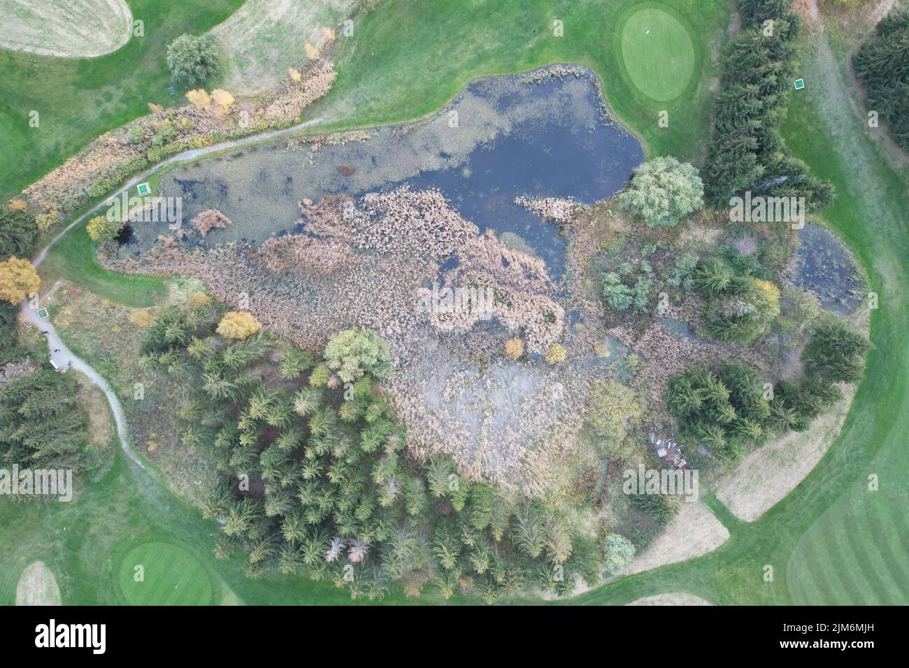 An aerial top view of golf course Stock Photo - Alamy