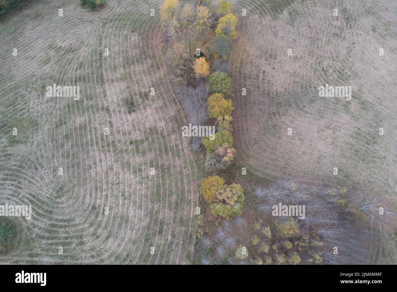 An aerial view of meadow in the forest Stock Photo - Alamy