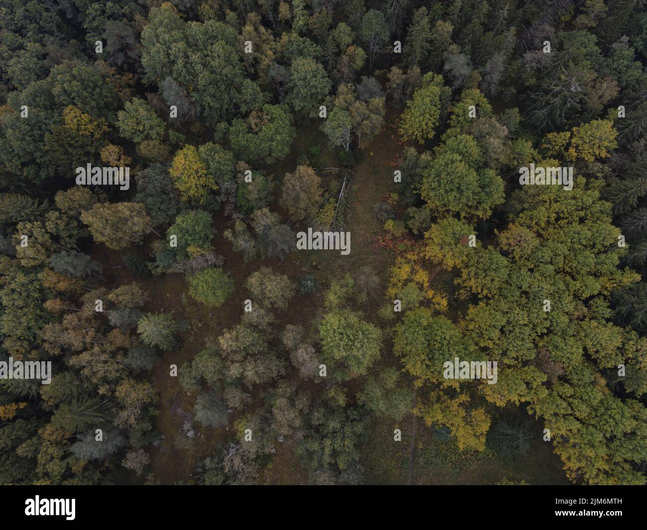 Aerial top down shot hi-res stock photography and images - Alamy