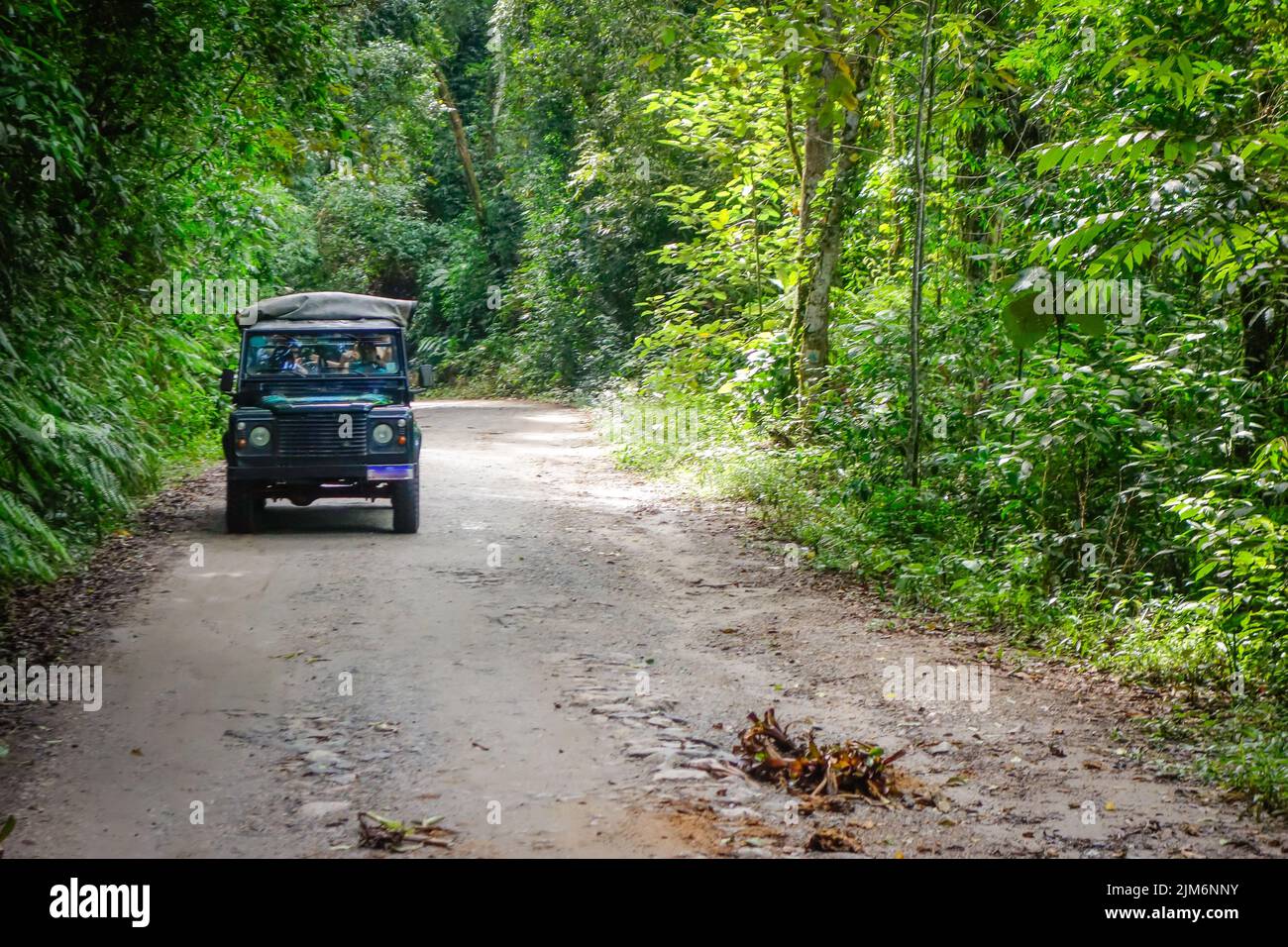 4x4 offroad jeep on dirt trail through the tropical rainforest Stock ...