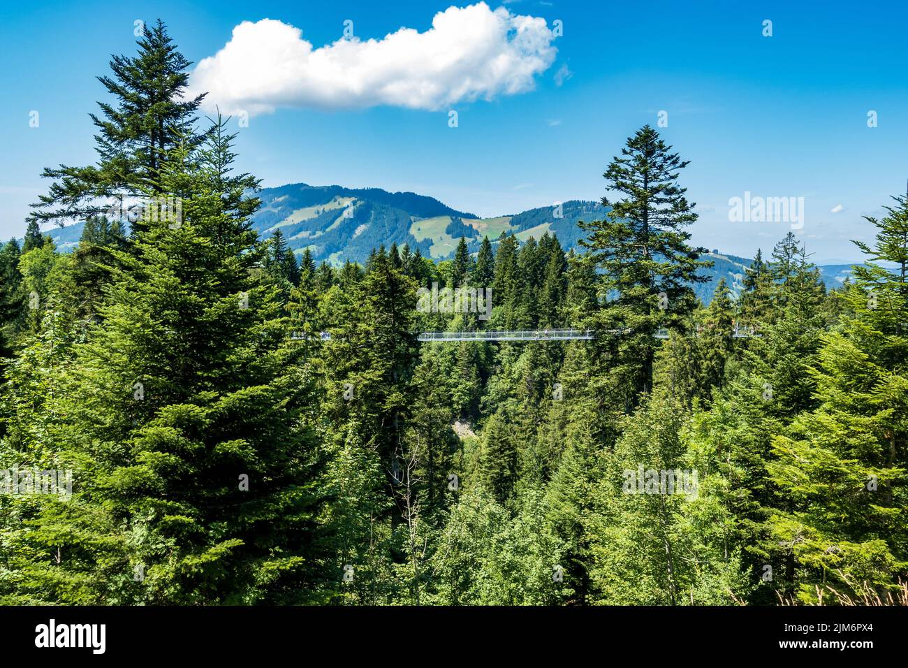 One of the worlds longest pedestrian suspension bridges, the Skywalk is ...