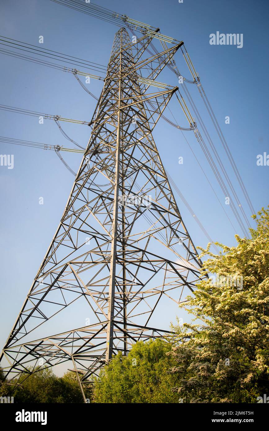 Electricity pylon and power lines, seen from below Stock Photo - Alamy