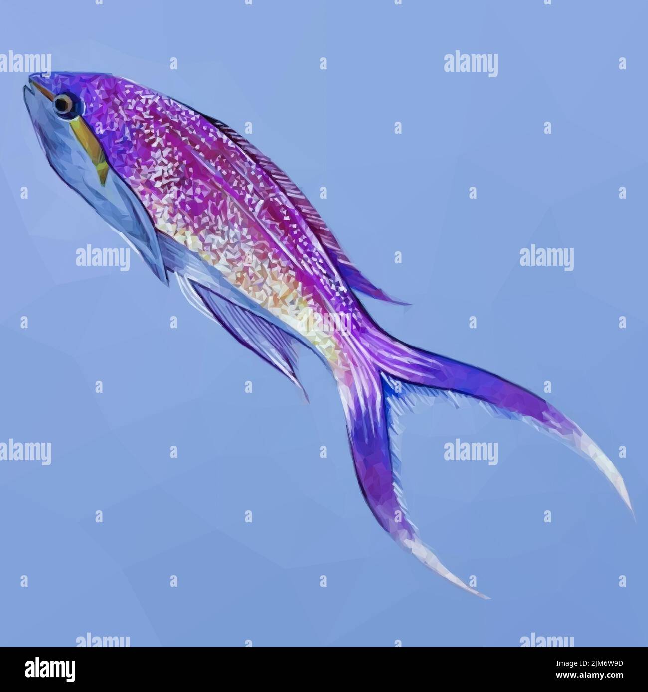 A low poly style illustration of a purple colorful fish underwater ...