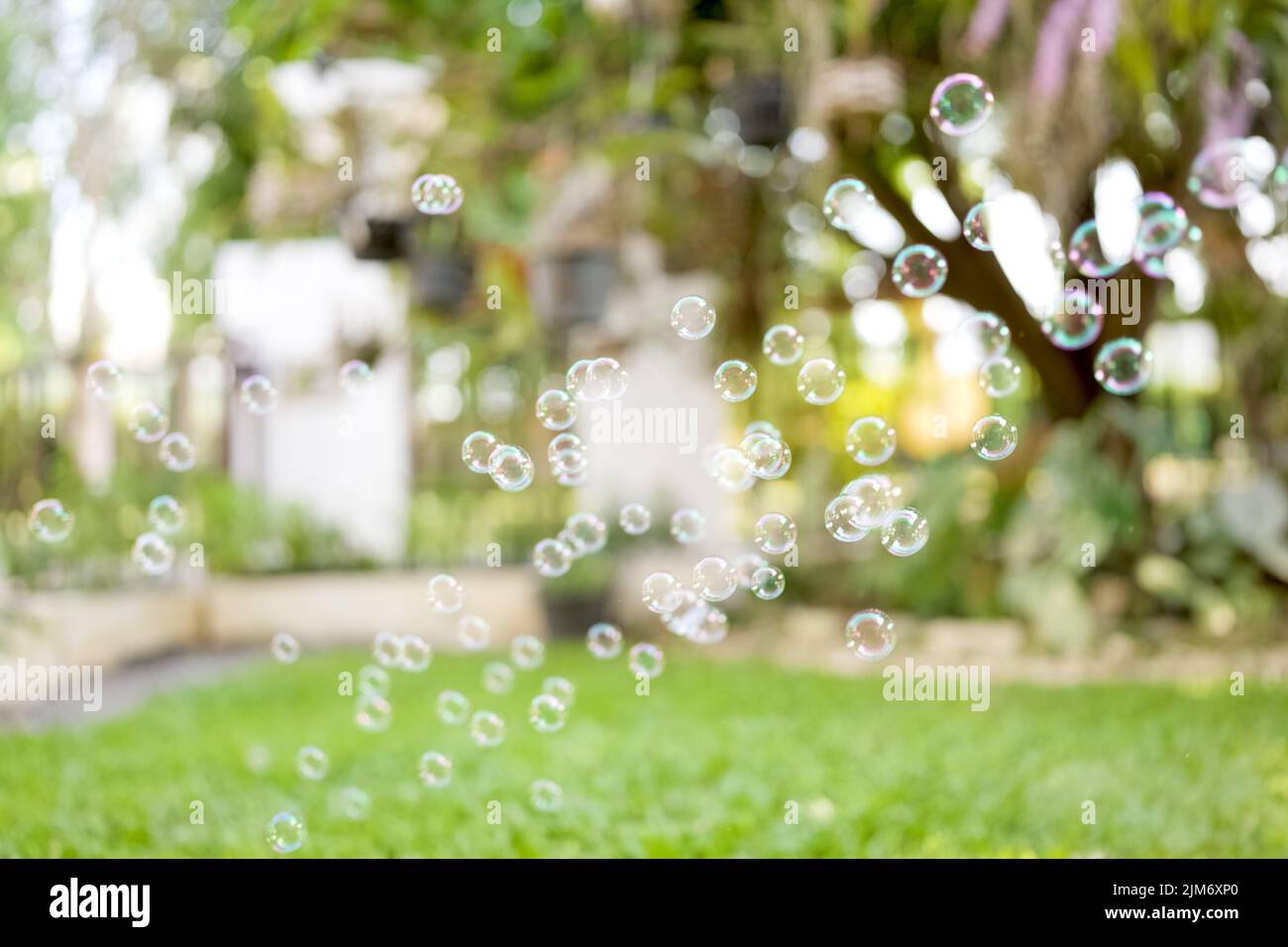 The small soap bubbles floating in a park Stock Photo - Alamy