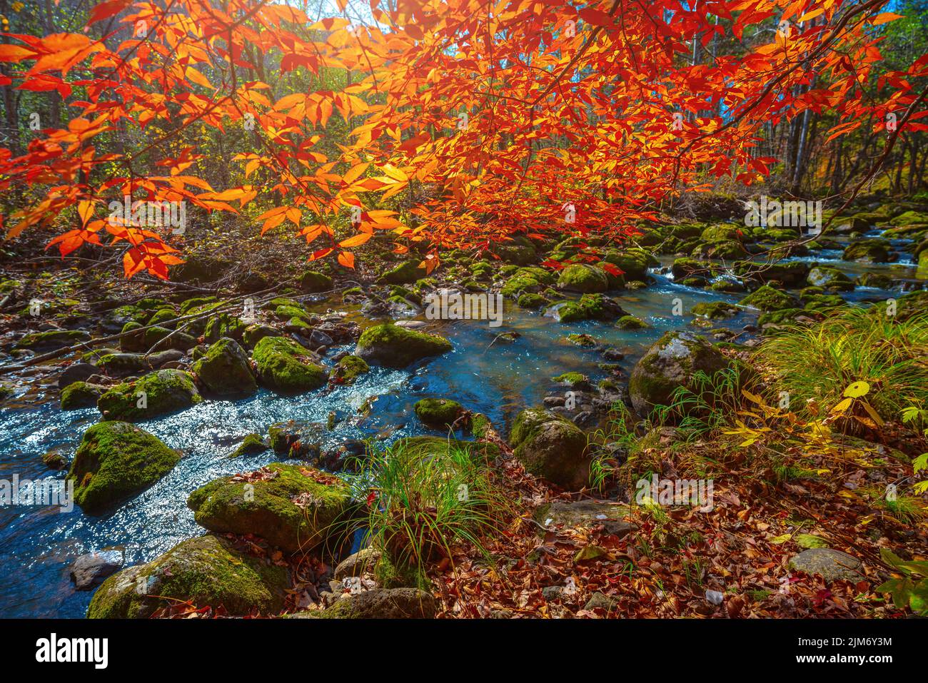 Autumn fall river rock tree hi-res stock photography and images - Alamy