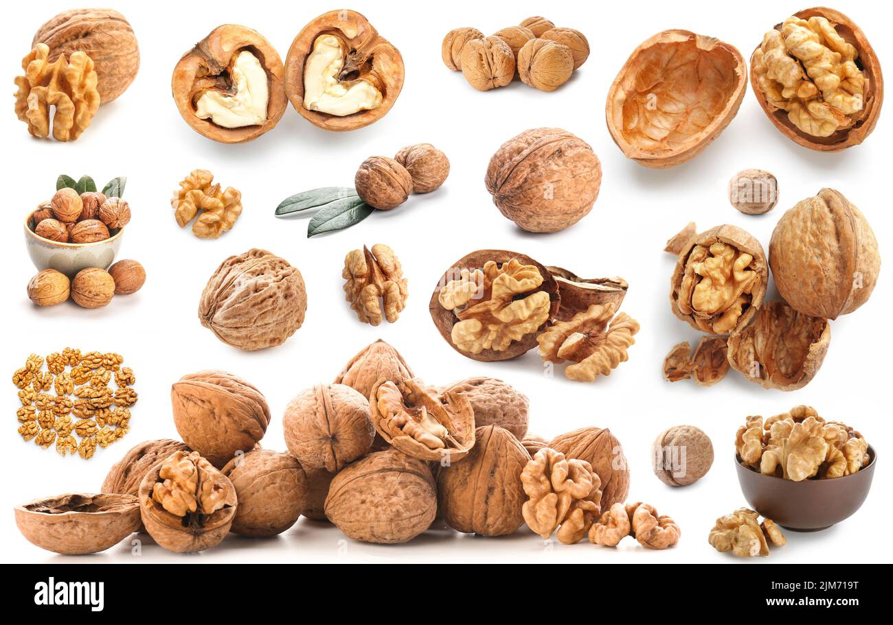 Set of many tasty walnuts isolated on white Stock Photo - Alamy
