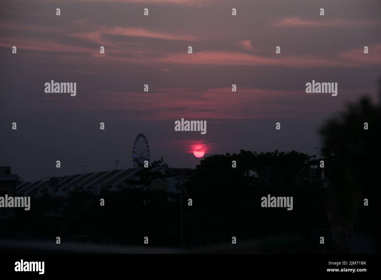A bright pink sunset sky over a field Stock Photo - Alamy