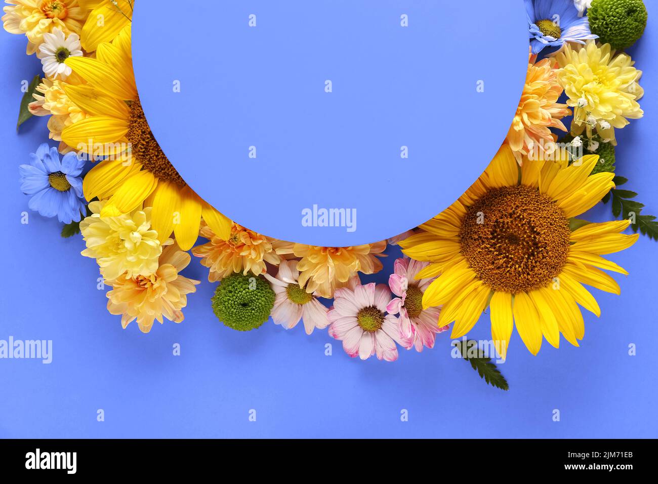 Beautiful composition with flowers and blank card on blue background ...