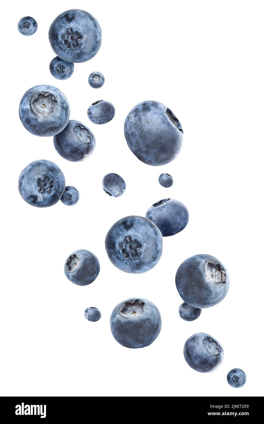 Many flying blueberries on white background Stock Photo - Alamy