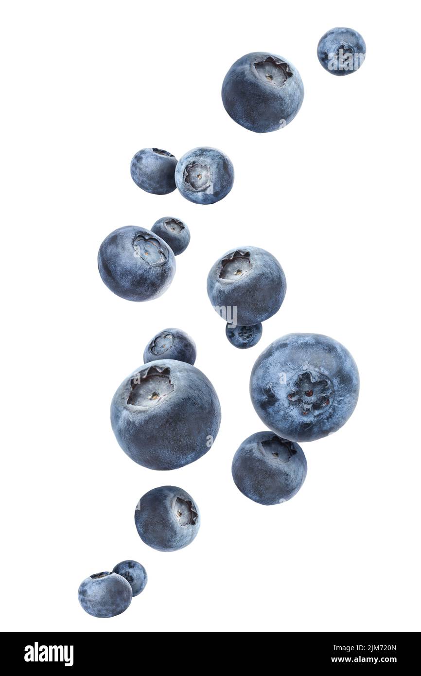 Many flying blueberries on white background Stock Photo - Alamy