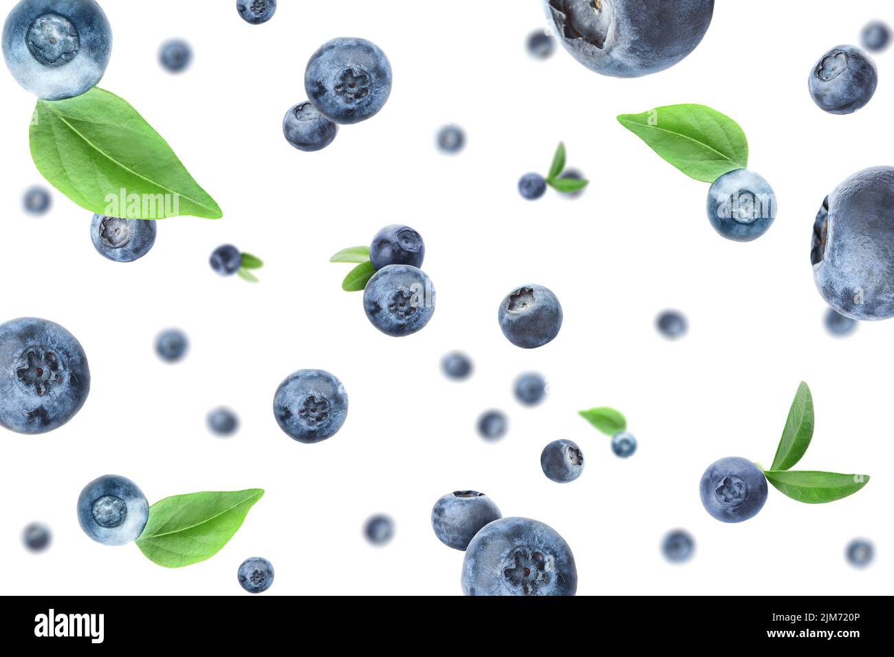 Many falling blueberries on white background Stock Photo - Alamy