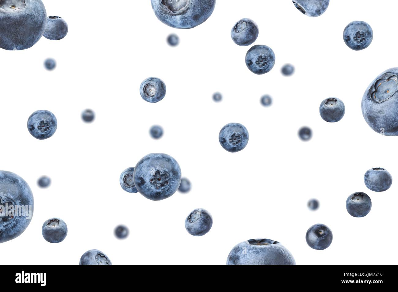 Many falling blueberries on white background Stock Photo - Alamy