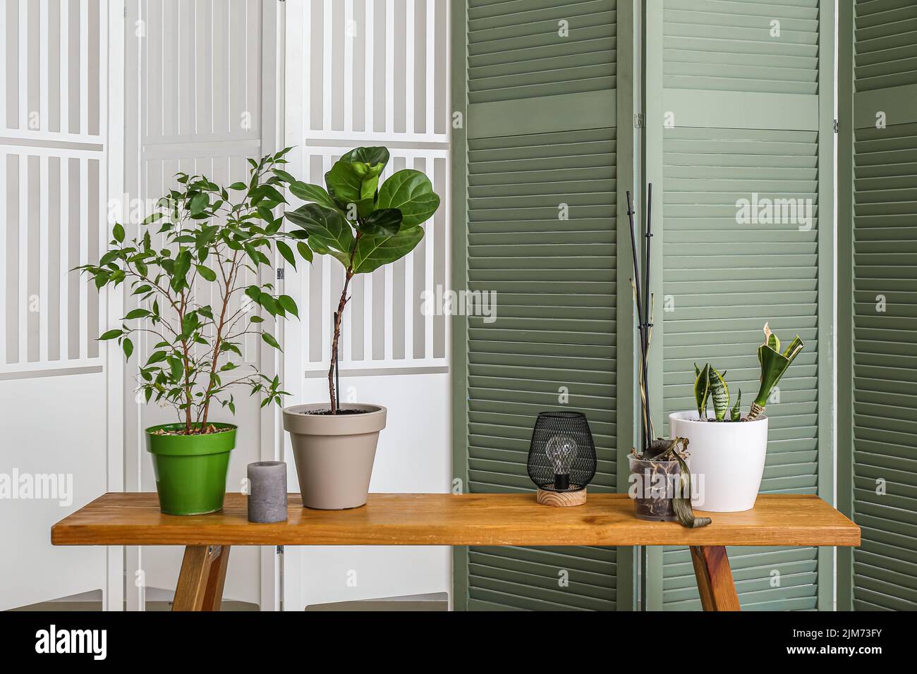 Candle screens hi-res stock photography and images - Alamy