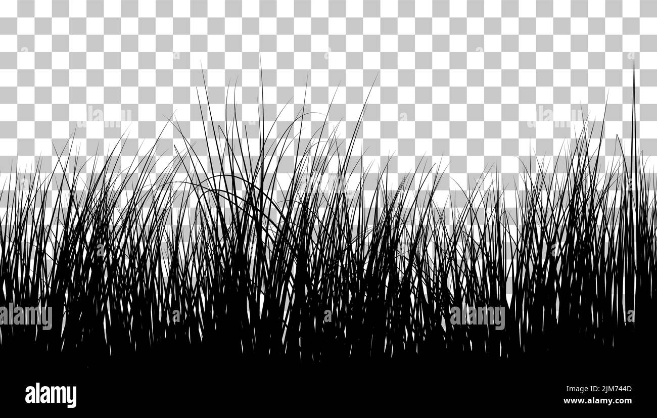 Grass Border Black And White