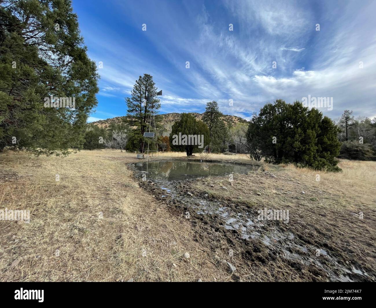 Puddle farm hi-res stock photography and images - Alamy