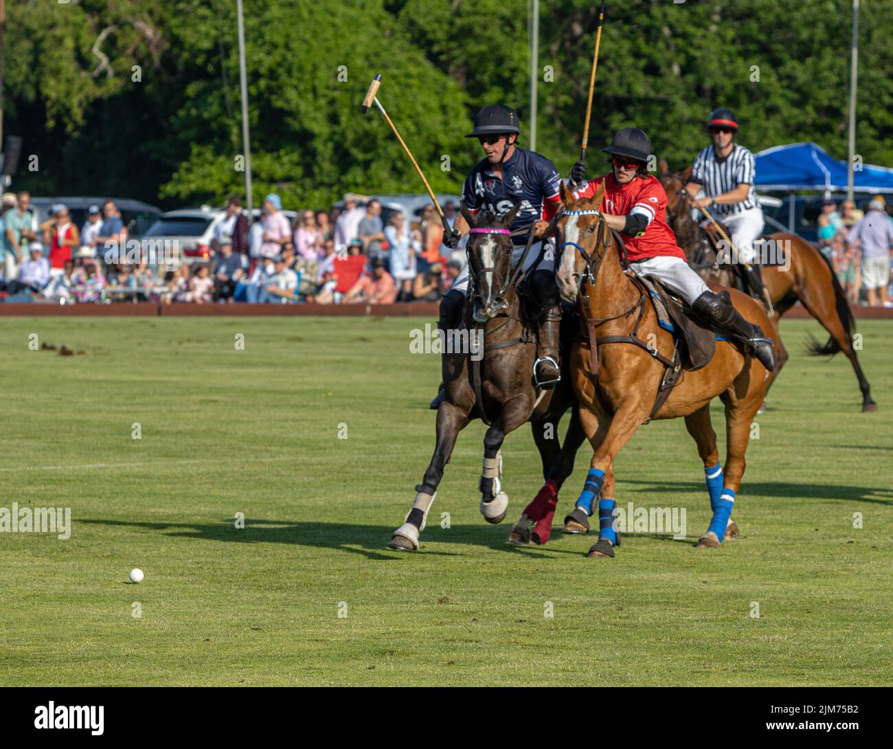 Man watching sport grass hi-res stock photography and images - Alamy
