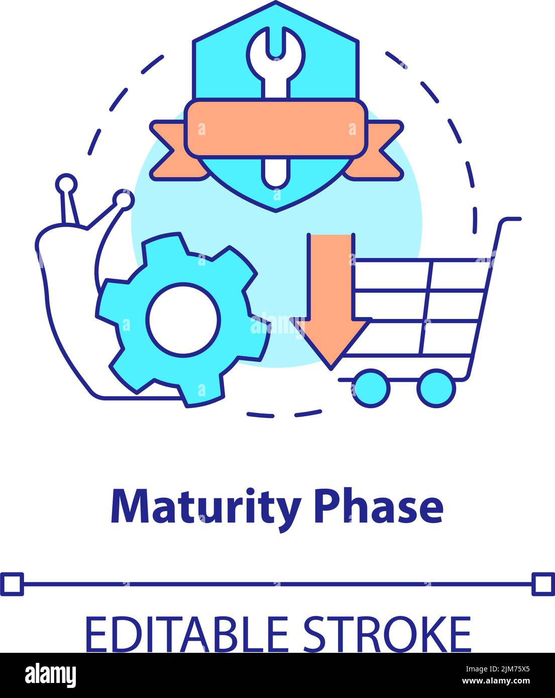 Maturity phase concept icon Stock Vector Image & Art - Alamy