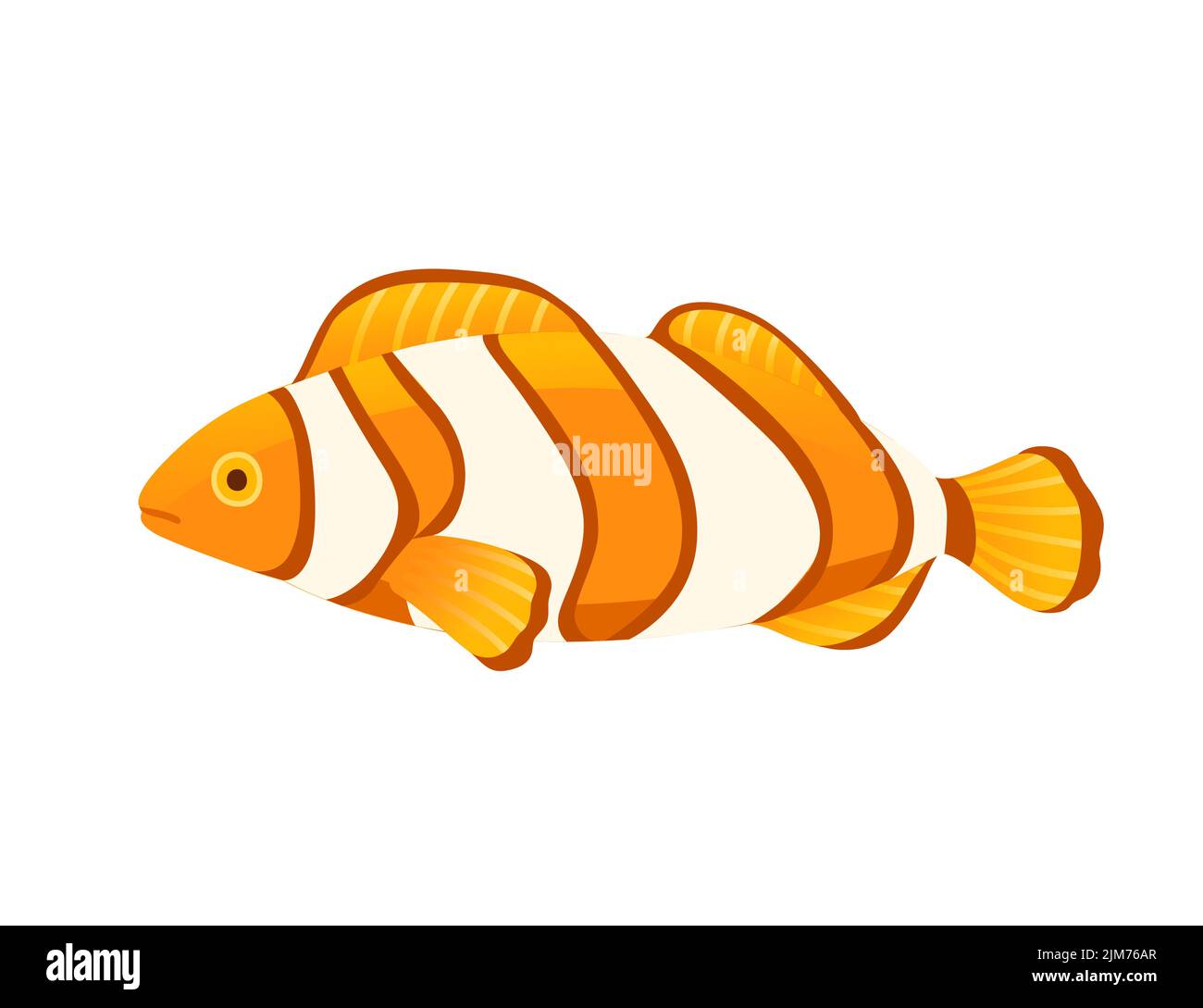 Exotic tropical aquarium fish clownfish vector illustration isolated on ...