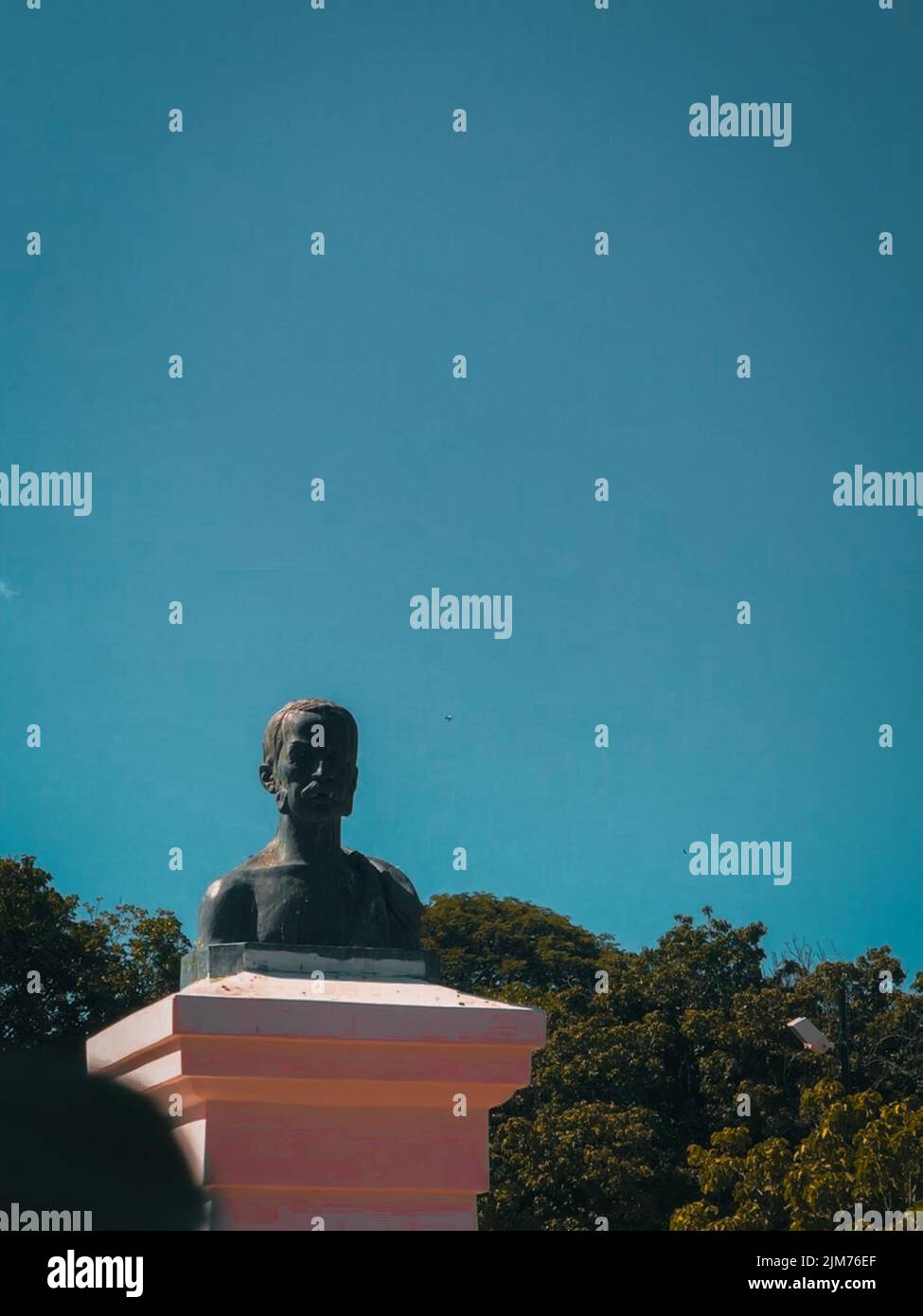 A vertical shot of Manuel Murillo Toro bust on blue sky background with ...