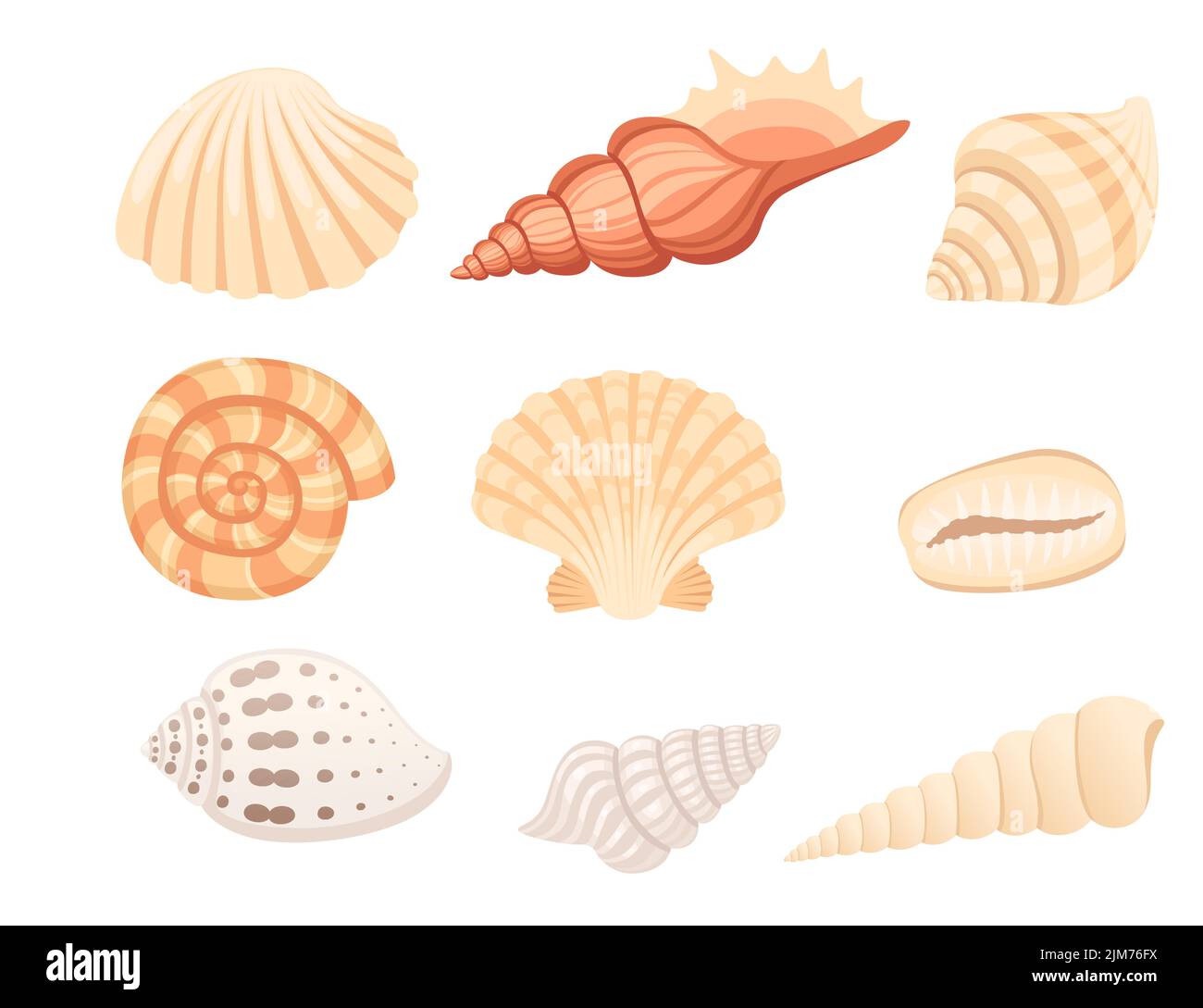 Set of Colorful tropical underwater shell cartoon design vector ...