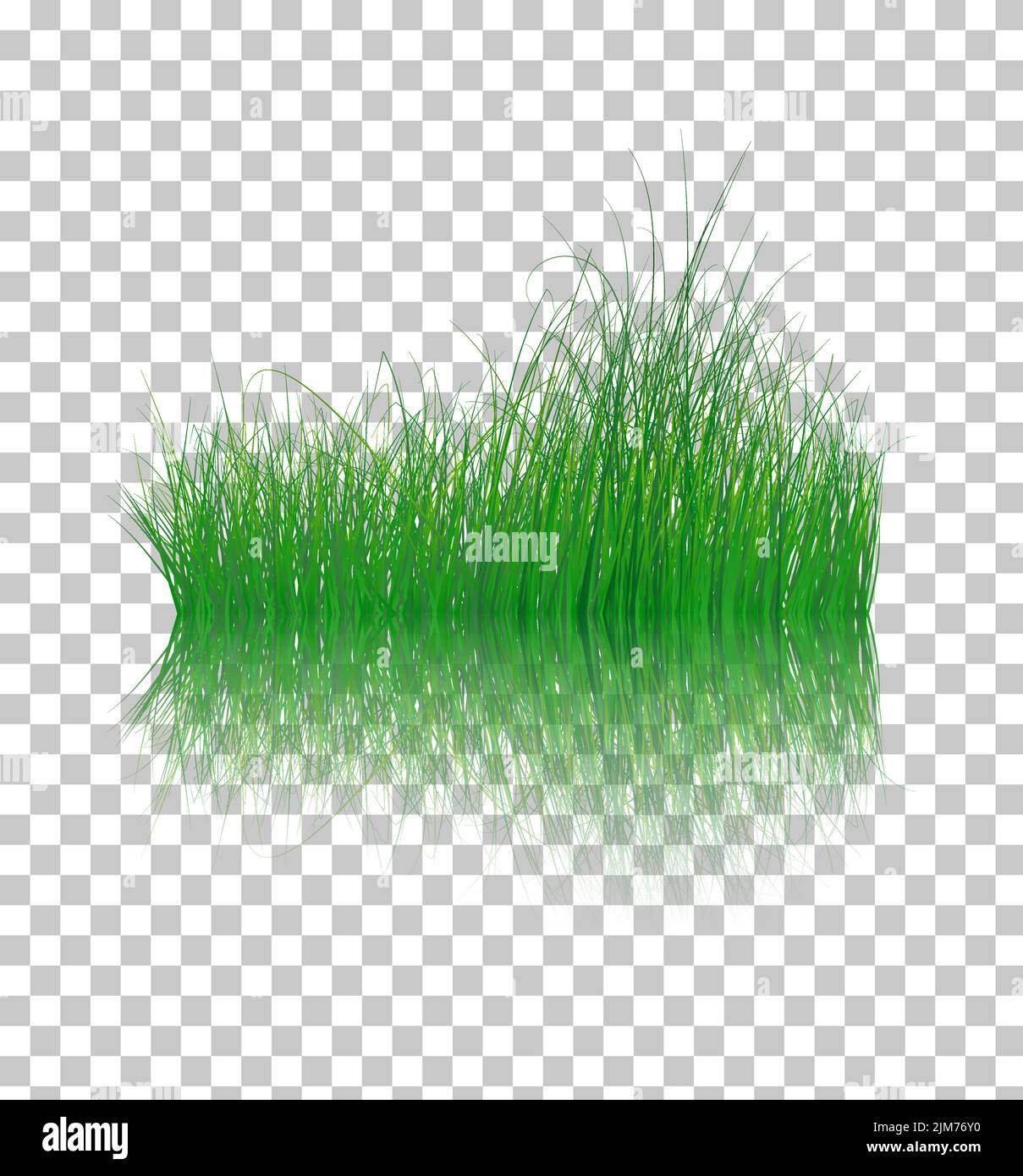 Grass Silhouettes Color Background With Transparent Reflection In Water ...