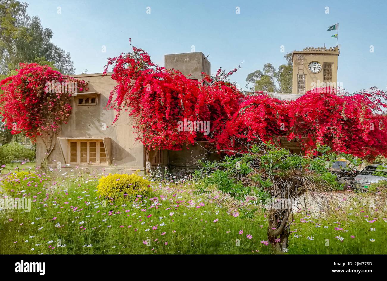 Entrance gate flowers flowerbed hi-res stock photography and images - Alamy