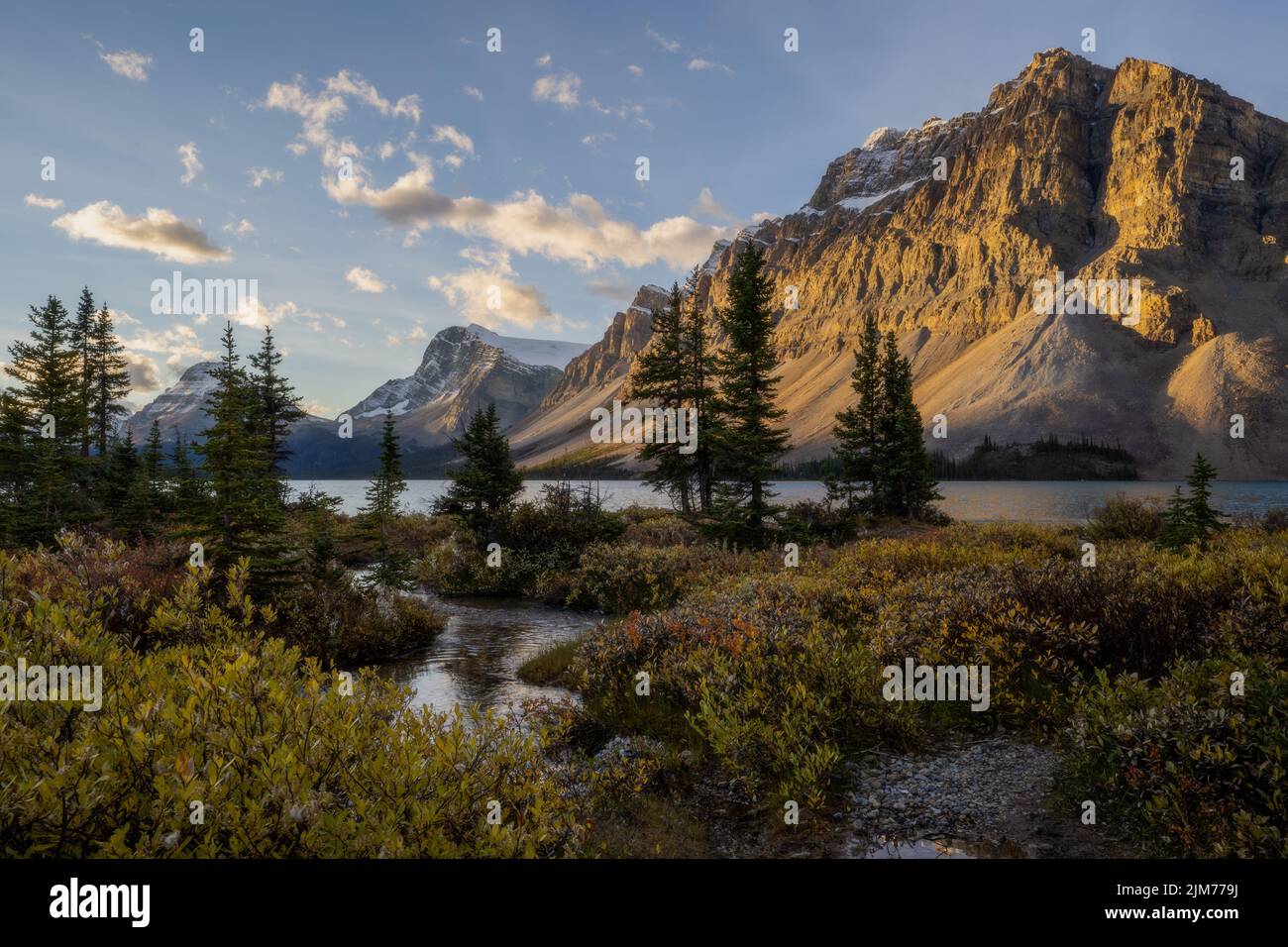 A beautiful view of pine trees on grassland on river water against ...