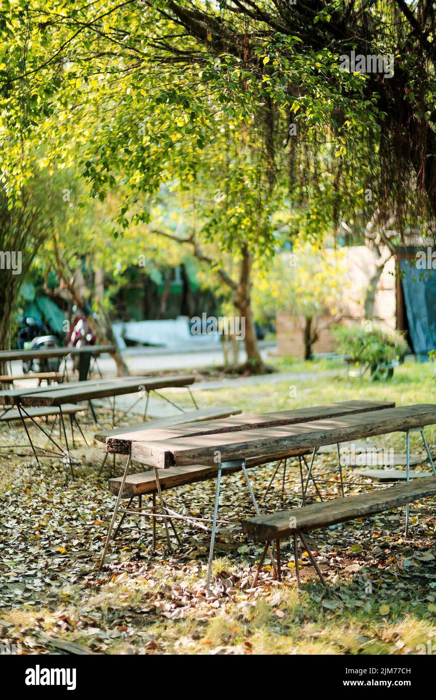 A vertical shot of a willow tree and wooden benches in a park Stock ...