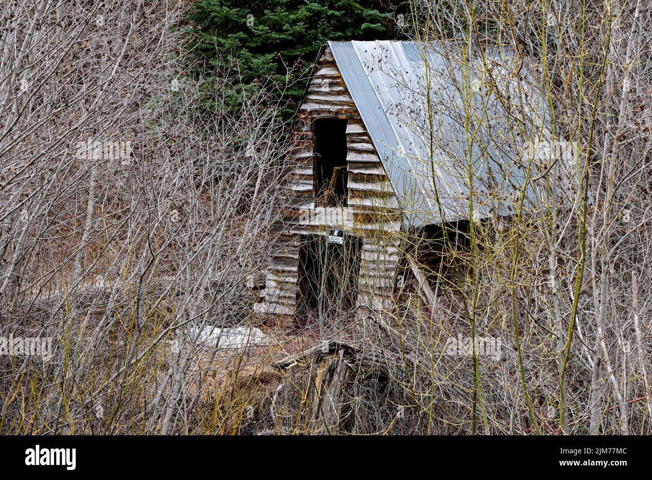A beautiful shot of a small barn on an Old mountain near creek ...