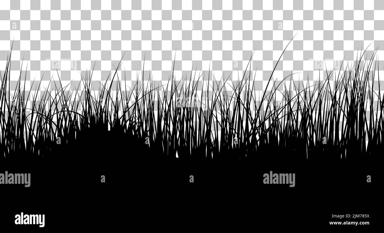 Meadow Grass Seamless Background. Cute Clean And Smooth Meadow Grass ...