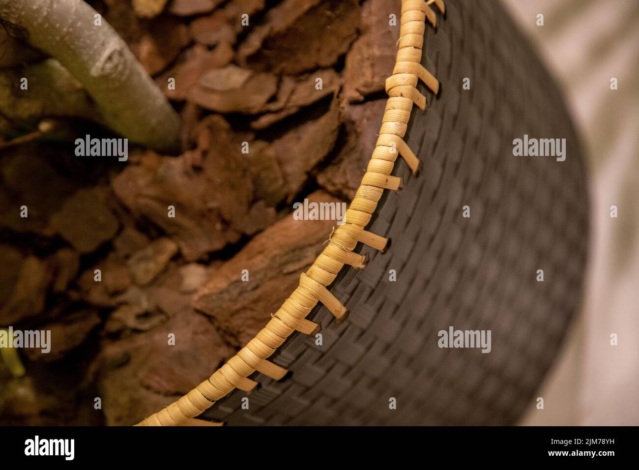 Bamboo muzzle for hanging plants hi-res stock photography and images ...