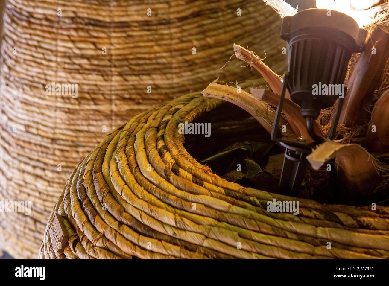 Bamboo muzzle for hanging plants hi-res stock photography and images ...