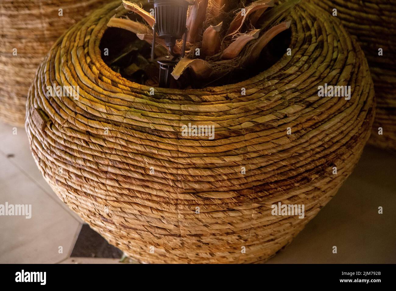 Bamboo muzzle for hanging plants hi-res stock photography and images ...