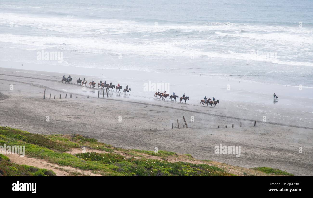 A beautiful view of people on horses on a sandy beach Stock Photo - Alamy