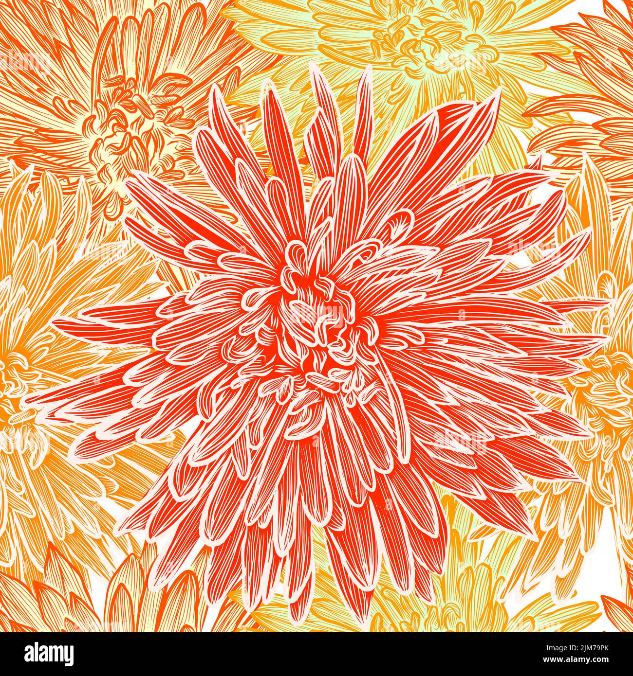 Aster flowers seamless pattern. Vector illustration Stock Vector Image & Art - Alamy