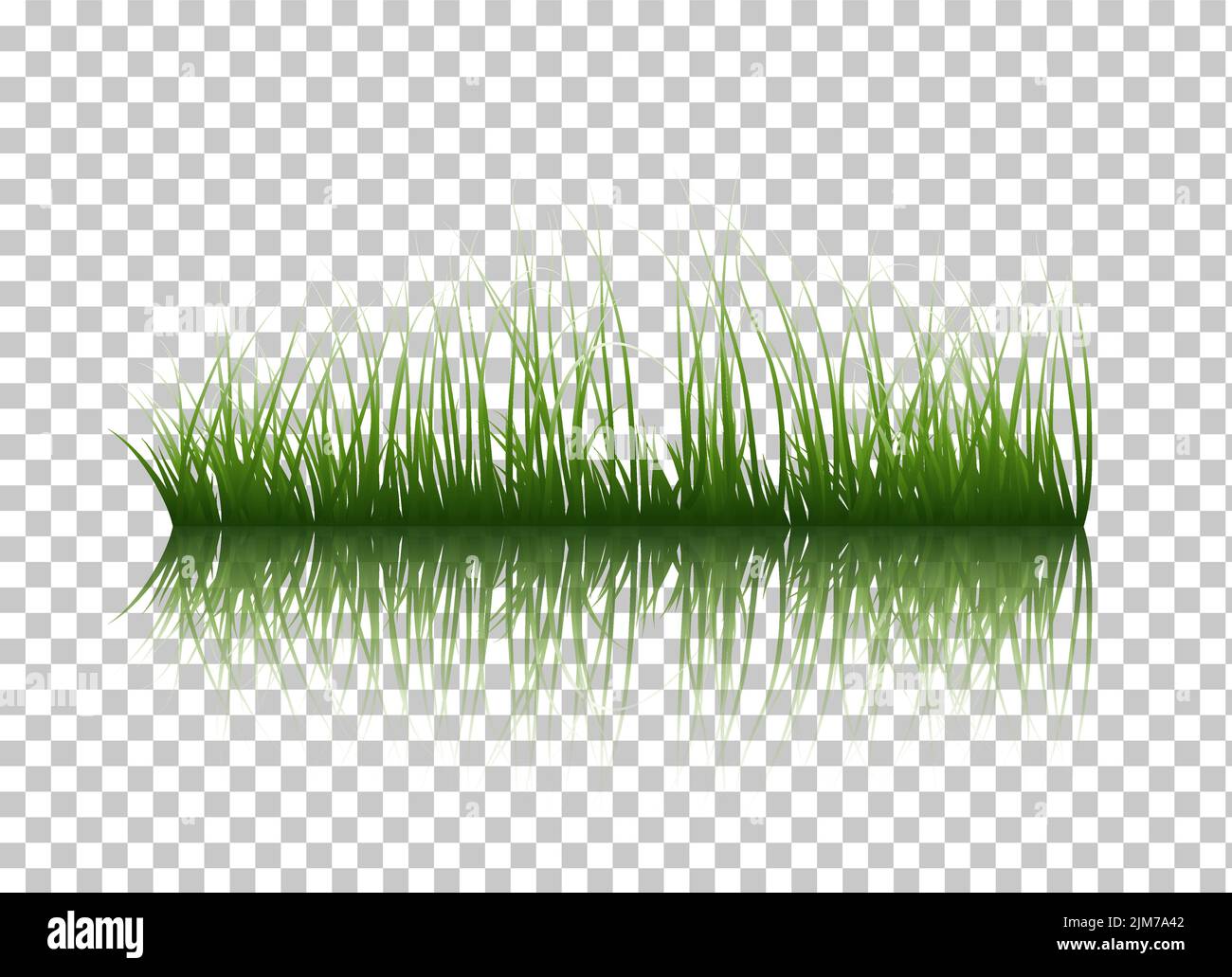 Grass Silhouettes Color Background With Transparent Reflection In Water ...