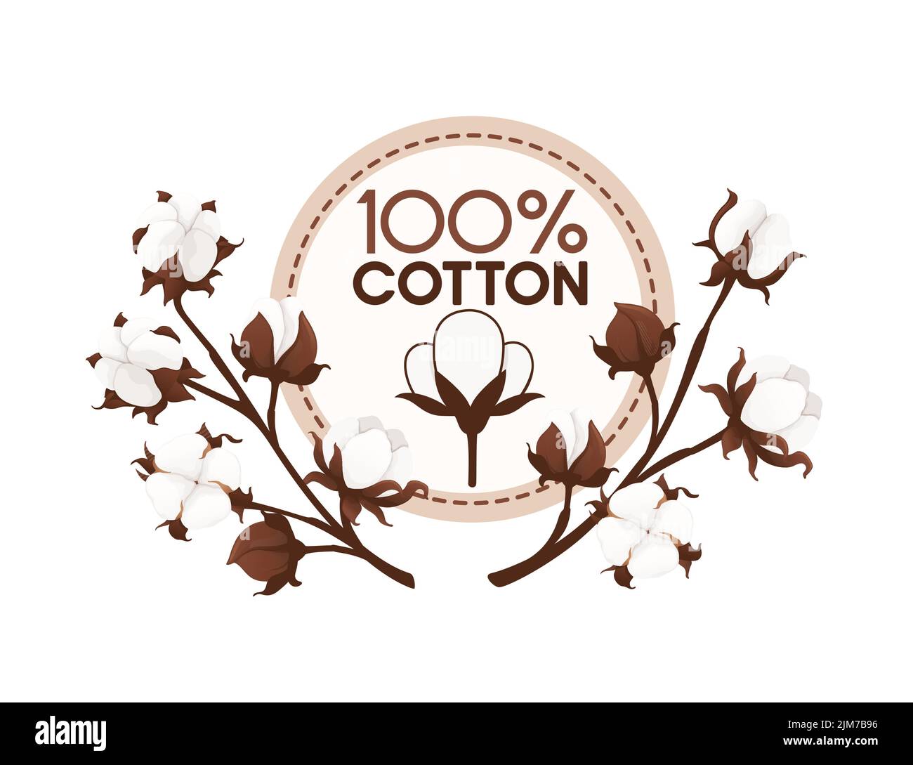 100 cotton label badge with cotton branches vector illustration ...