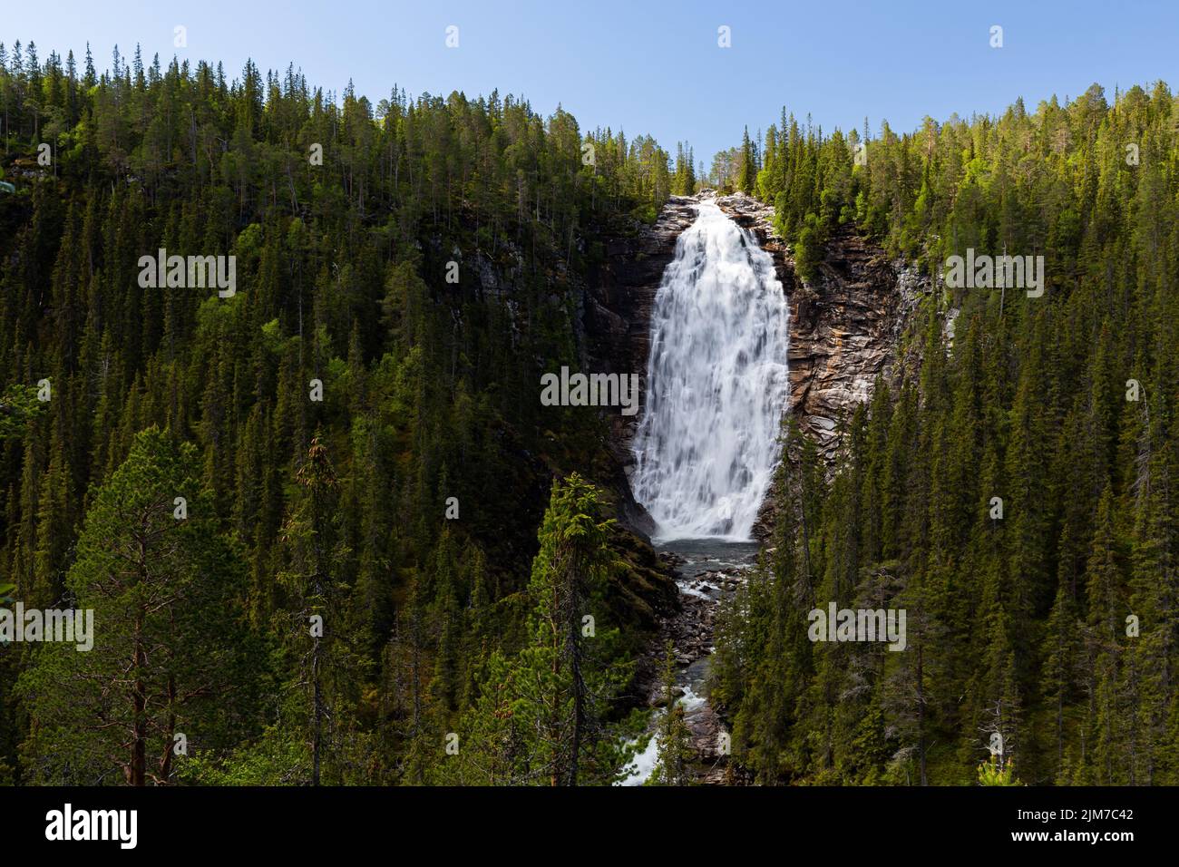 Norwegian boreal forest hi-res stock photography and images - Alamy