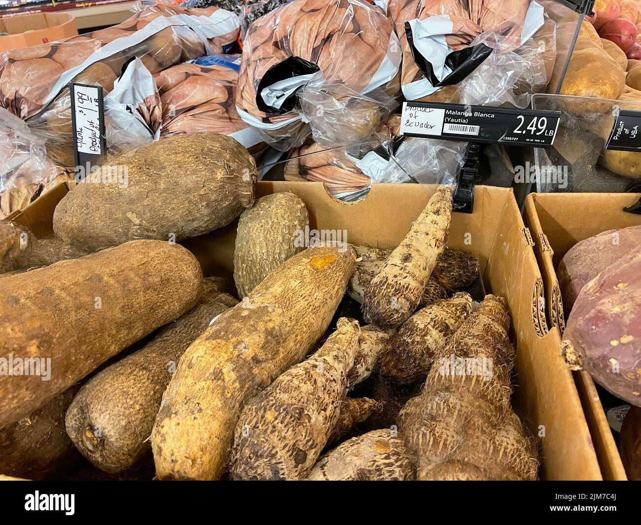 Yautia Amarilla YAUTIA LILA – CJ Tropical Corp