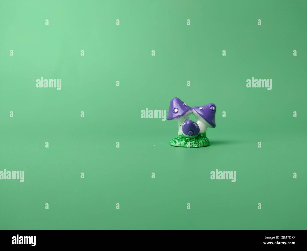 A small purple miniature mushroom isolated on a green background with ...