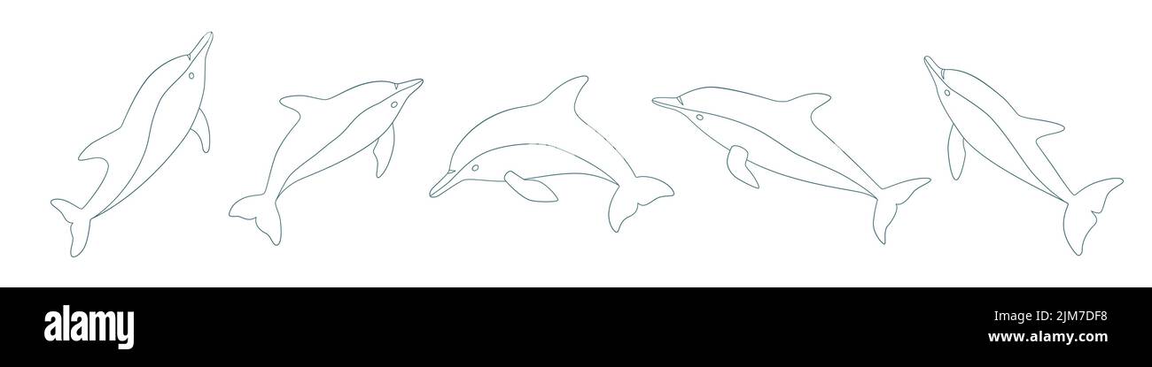 Set of hand drawn dolphins. Isolated vector illustration in doodle ...