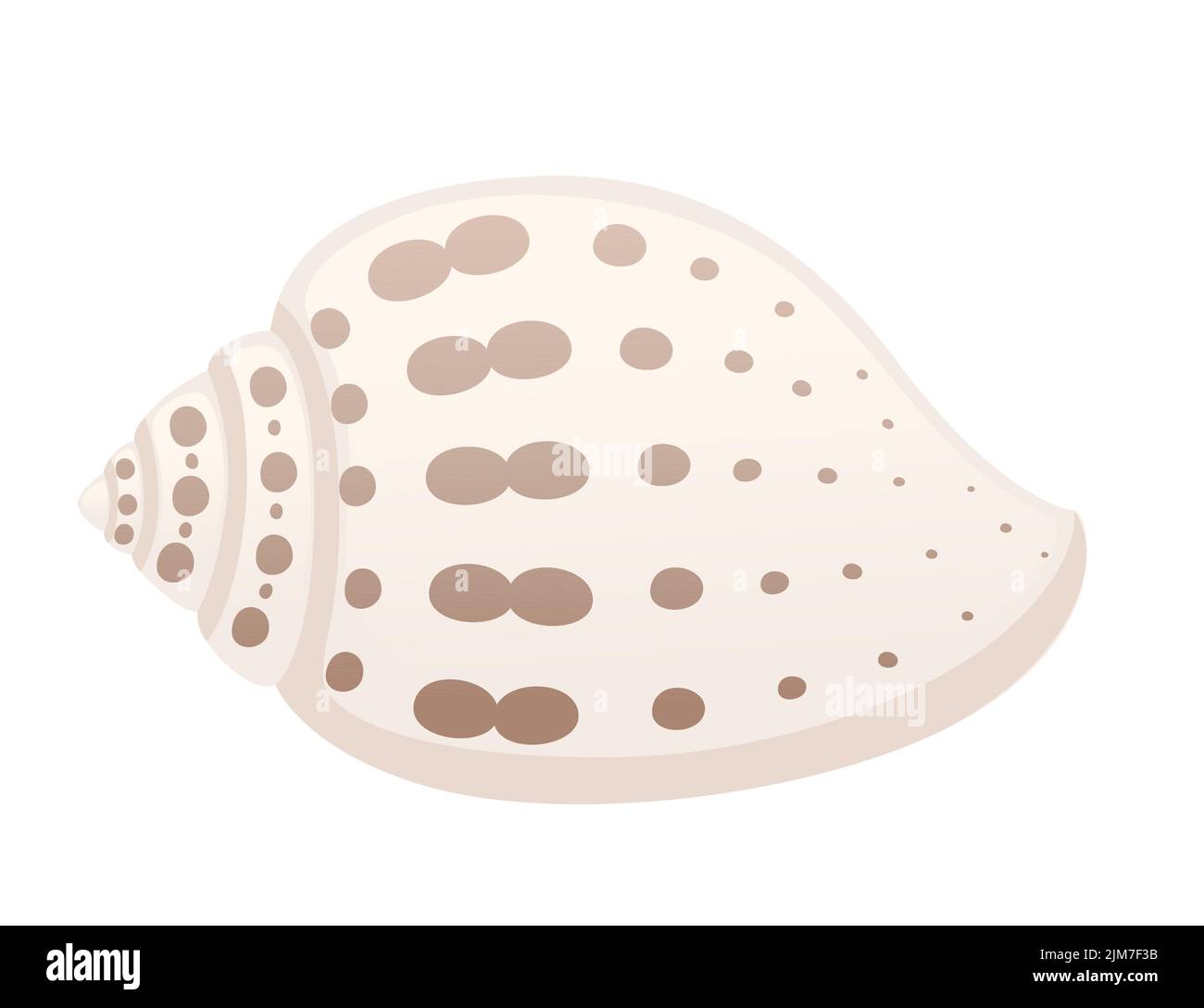 Colorful tropical underwater shell cartoon design vector illustration ...