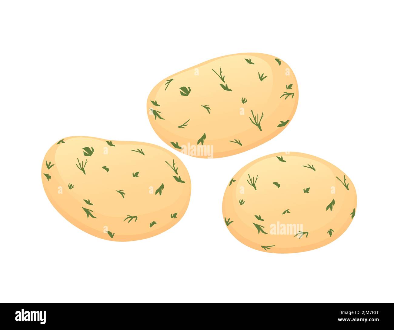 Three cooked potato with bill boiled peeled potatoes vector ...