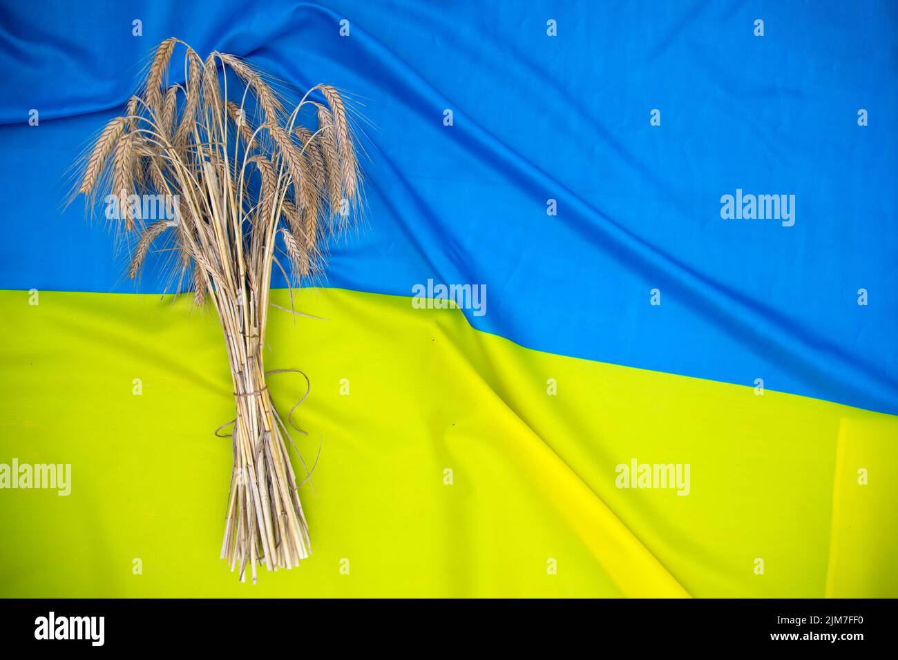 Grain harvest, ukrainian flag, ears of wheat, rye, oats. Symbol of ...