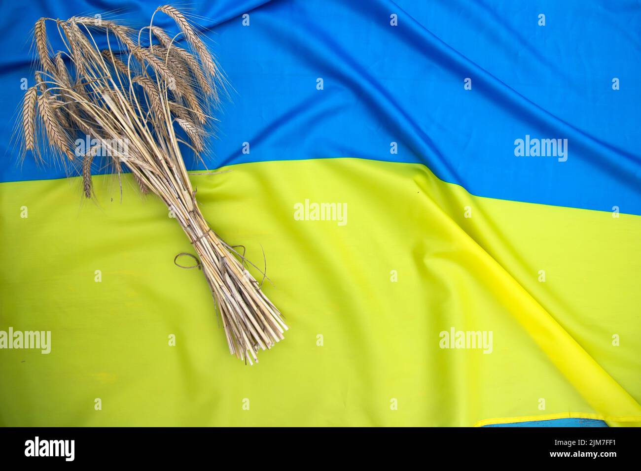 Grain harvest, ukrainian flag, ears of wheat, rye, oats. Symbol of ...
