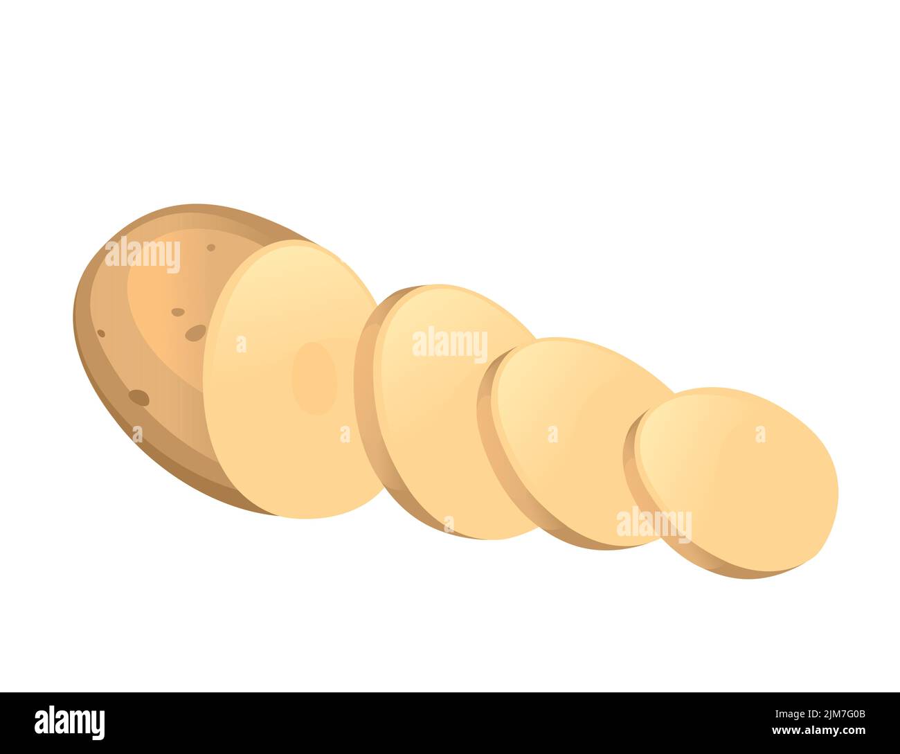 Fresh raw unpeeled potatoes with chopped rings vector illustration ...