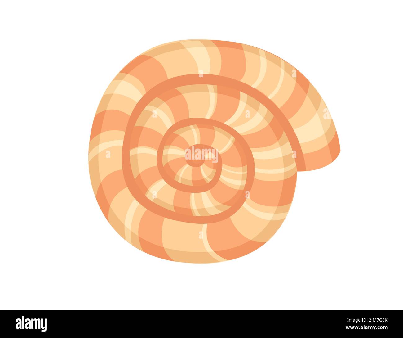 Colorful tropical underwater shell cartoon design vector illustration ...