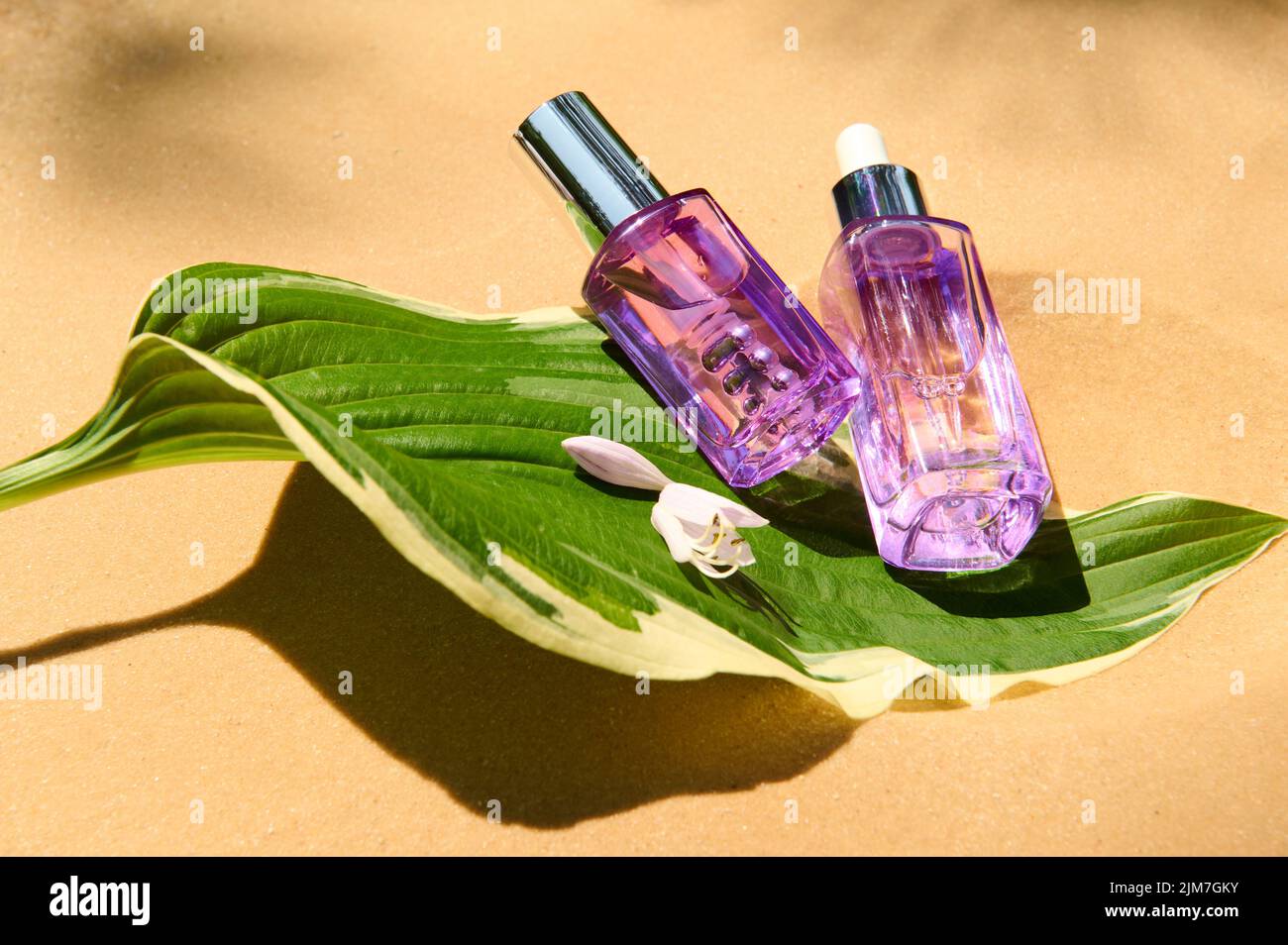 Still life. Anti-aging serum in light violet colored glass bottles on a ...