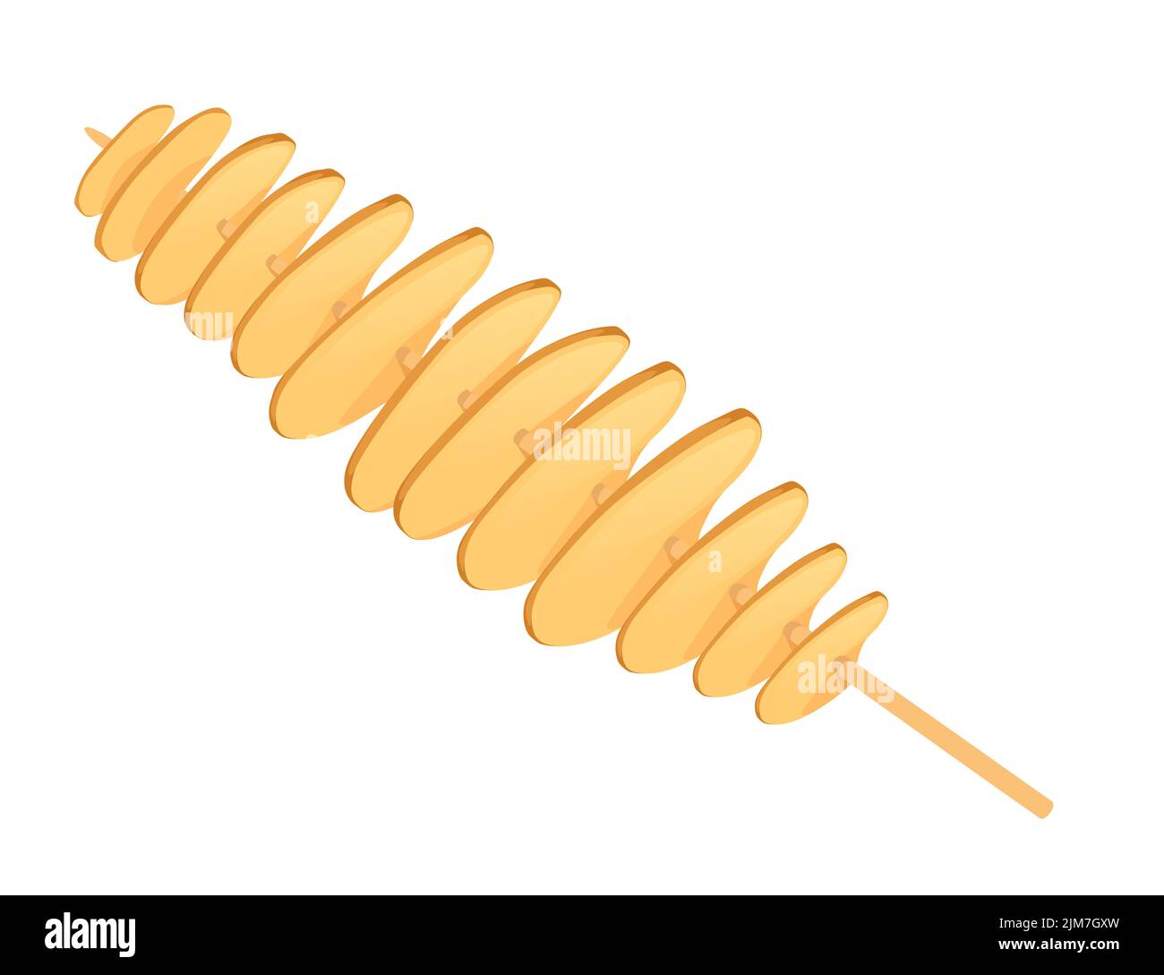 Frehs spiral cut potatoes vector illustration isolated on white ...
