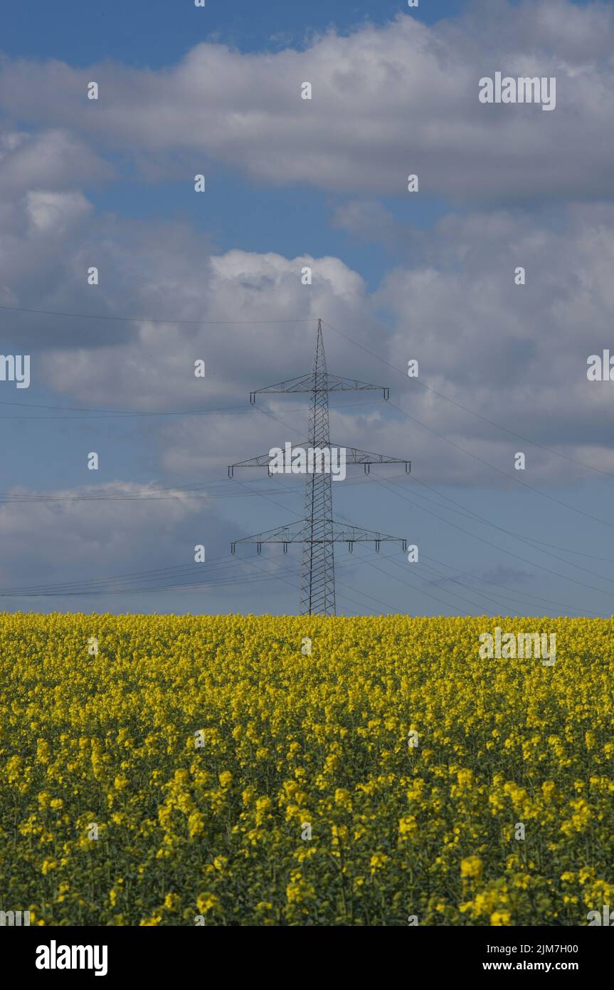Agricultural landscape with flowering rape field in front of a high ...
